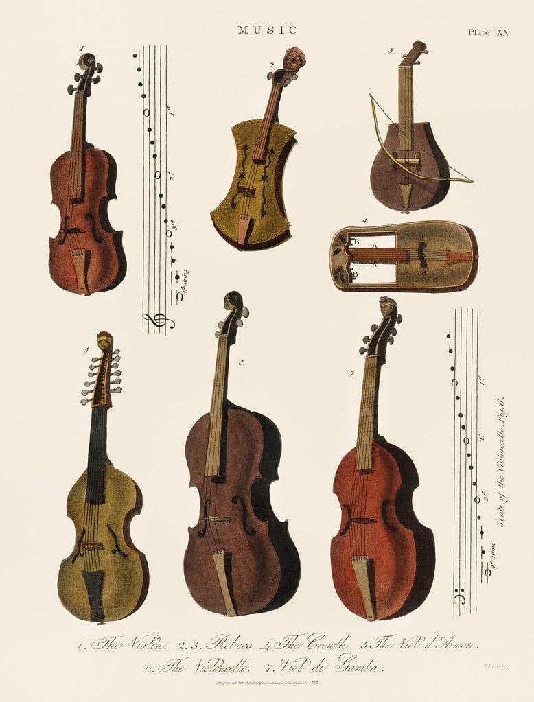 String Family Orchestra