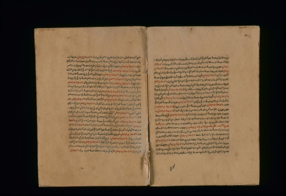 The history of the Malay language